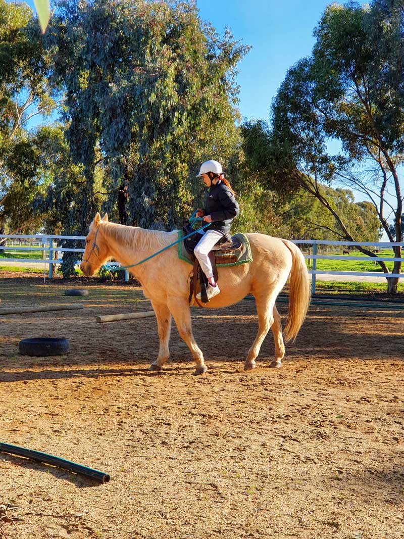 School fun adventures in Bendigo - Amicus Community Services